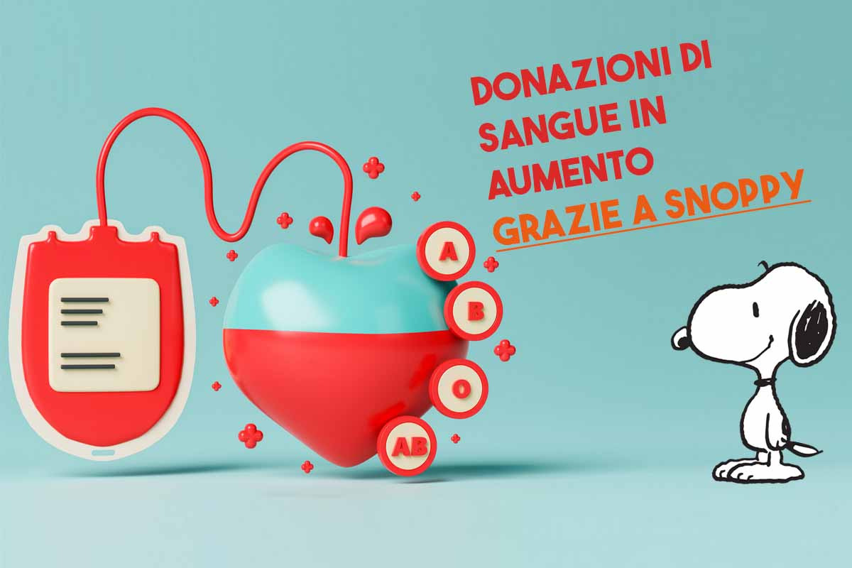 Snoopy e i suoi fan hanno un cuore d'oro | La campagna social che sta ...