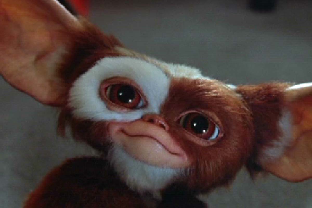 Ve li ricordate i Gremlins? Stanno per tornare e finalmente scopriremo ...