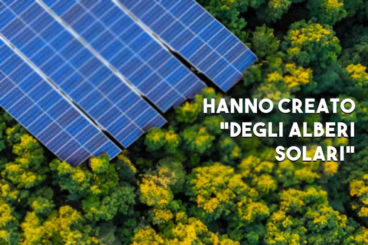 Al via il progetto degli "alberi solari" | Saranno la nuova frontiera ...