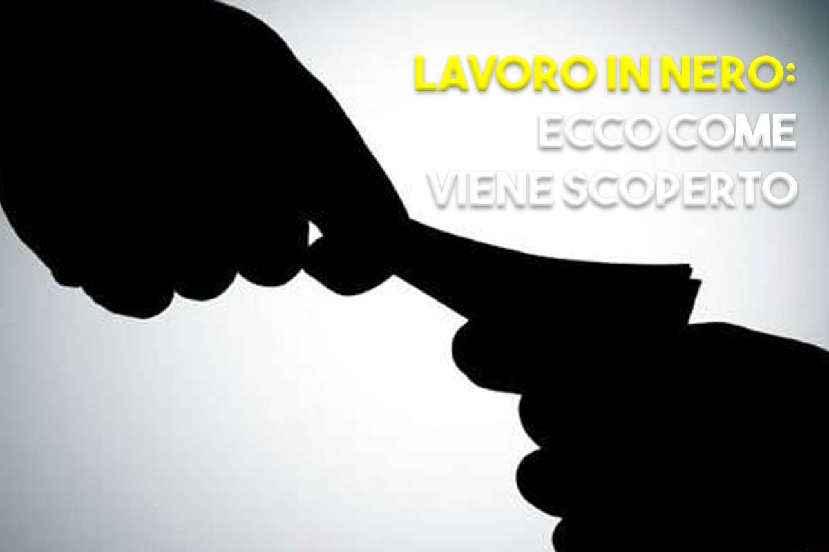 Lavoro in nero e sanzioni | L'agenzia delle entrate spiega come acciuffano i furbetti - Player.it