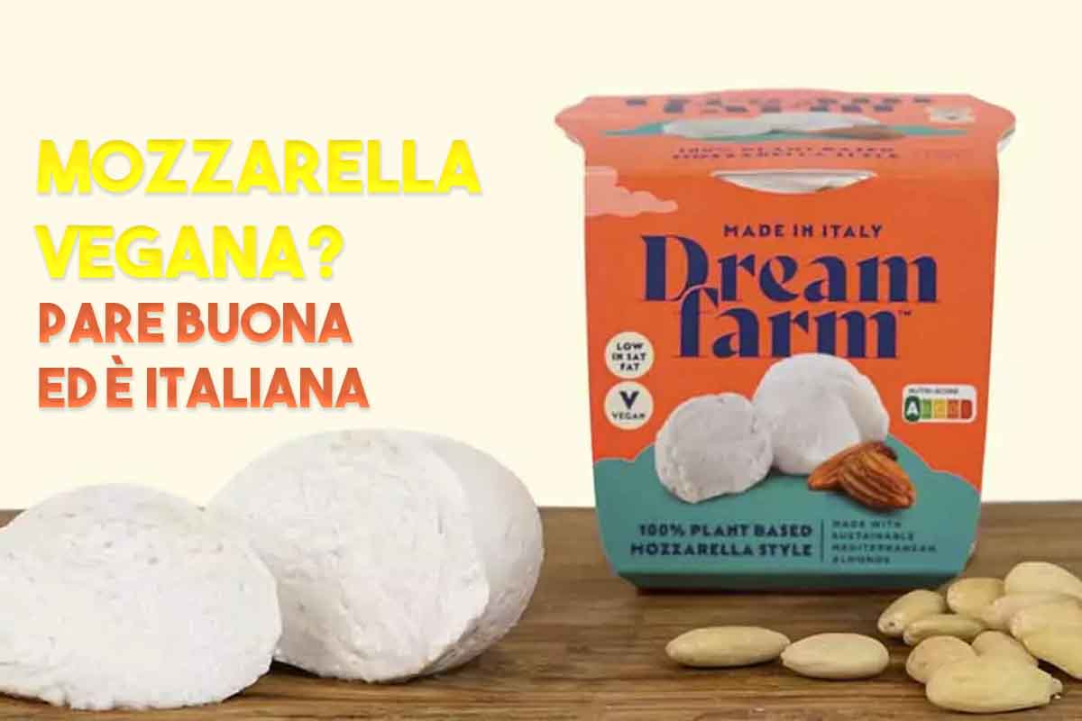 Una mozzarella vegana davvero buona? È italiana e ne parlano tantissimo ...