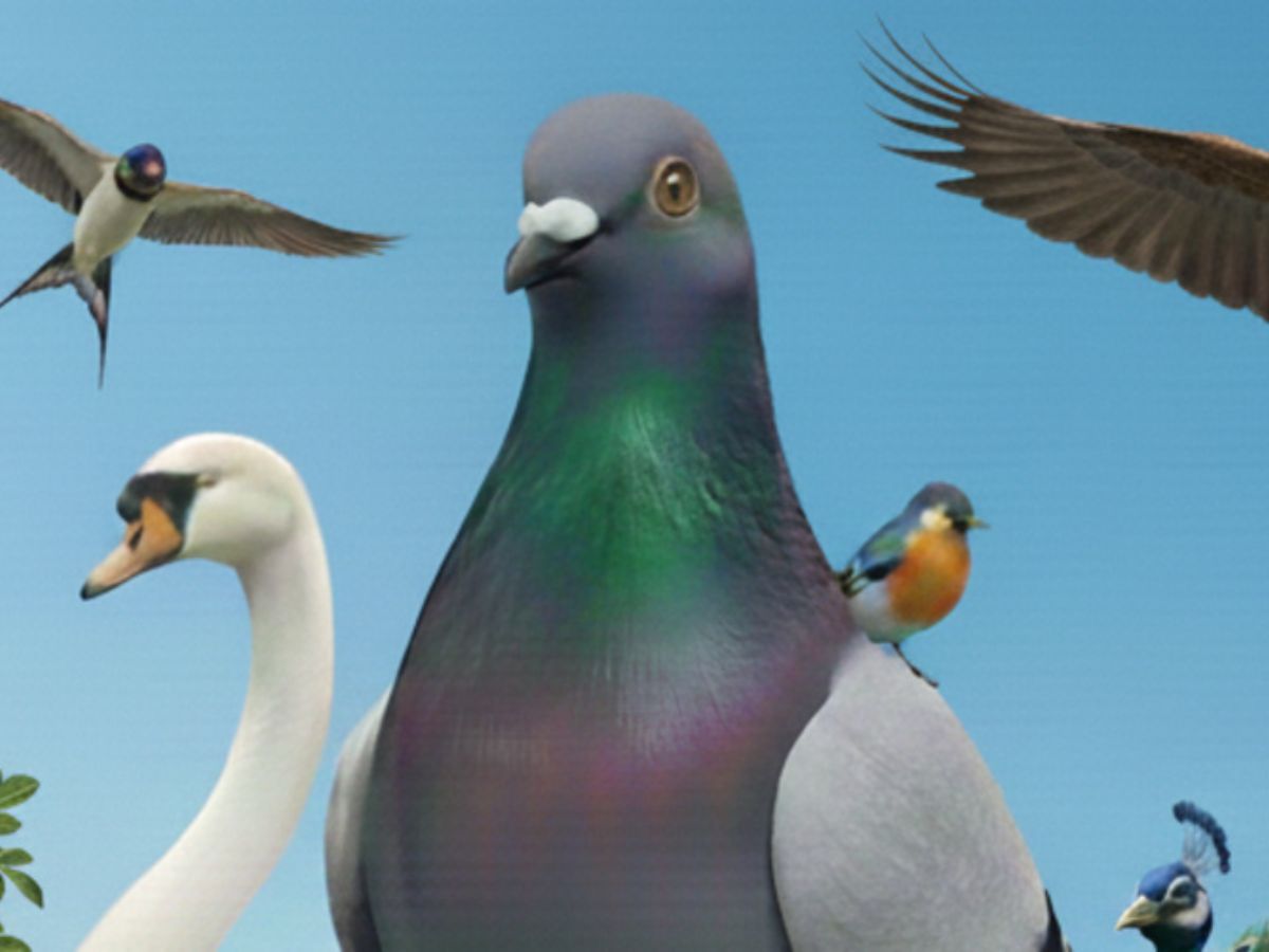 Cosa diavolo è Bird Game 3, il videogioco che sta spopolando su TikTok ...